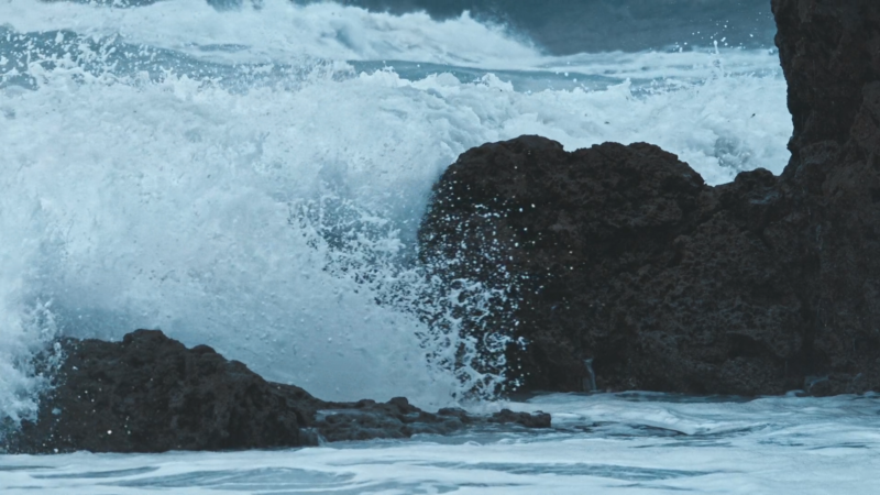 Miracle Broth - Blinkink